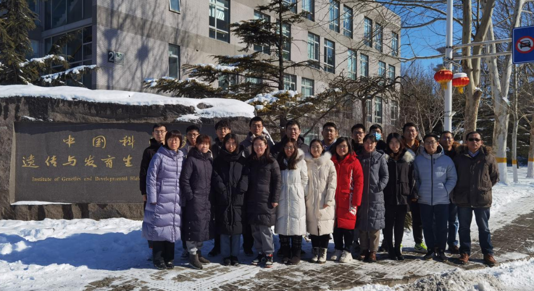 Sci Adv︱谢旗研究组揭示去泛素化酶和E3泛素连接酶调控植物激素ABA信号感知新机制 - 知乎