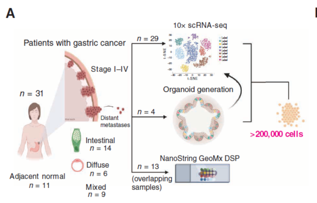 文献解析 | DSP怎么用？详解GeoMx DSP 空间多组学在癌症研究中的应用 - 知乎