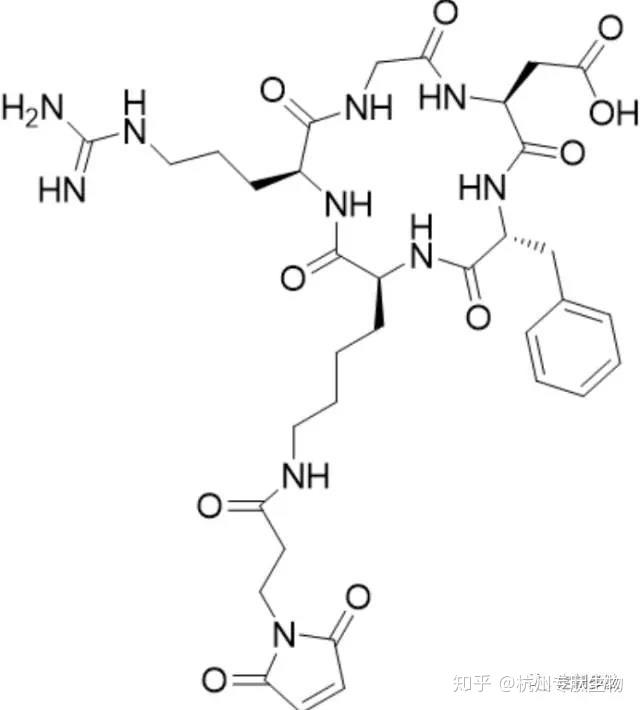 RGD环肽系列总结图 - 知乎