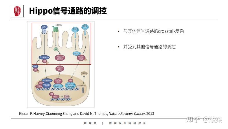1条就是1篇SCI！带你研究12条信号通路，NF-κB、MAPK、AKT、PI3K…… - 知乎