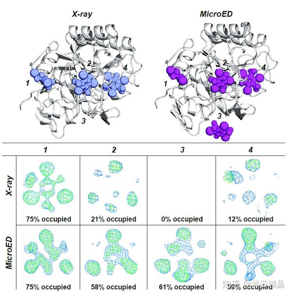 结构生物学最新技术| MicroED能为共晶结构解析带来什么？ - 知乎