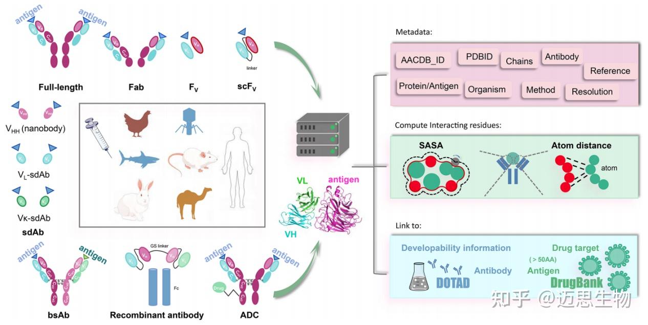 文献分享：抗原抗体相互作用界面数据库AACDB - 知乎
