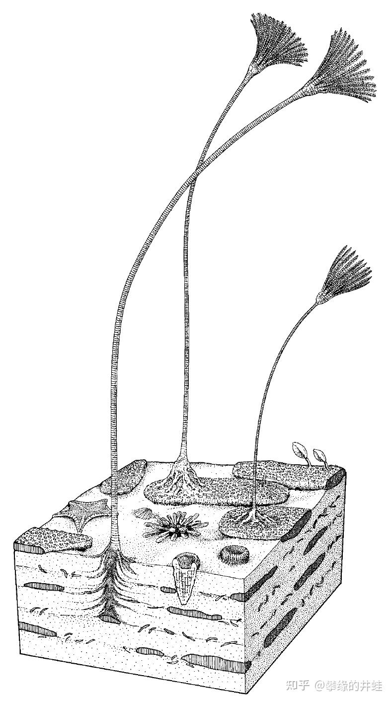 【地球演义】第二百七十四回 异界来客7：Alura Une - 知乎