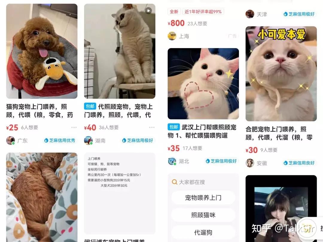 新手也能无门槛操作的10个副业，简单粗暴的副业思路，月入过万不是梦！ 知乎