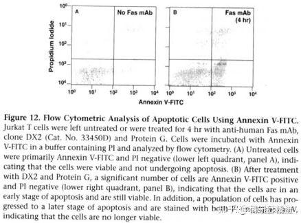 实验笔记丨流式检测细胞凋亡之Annexin V 检测细胞凋亡 - 知乎