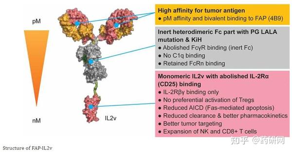 靶向实体瘤另辟蹊径：成纤维细胞激活蛋白(FAP) - 知乎