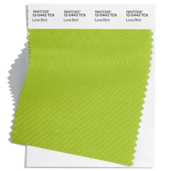 PANTONE 公布2023年度颜色：洋红色! - 知乎