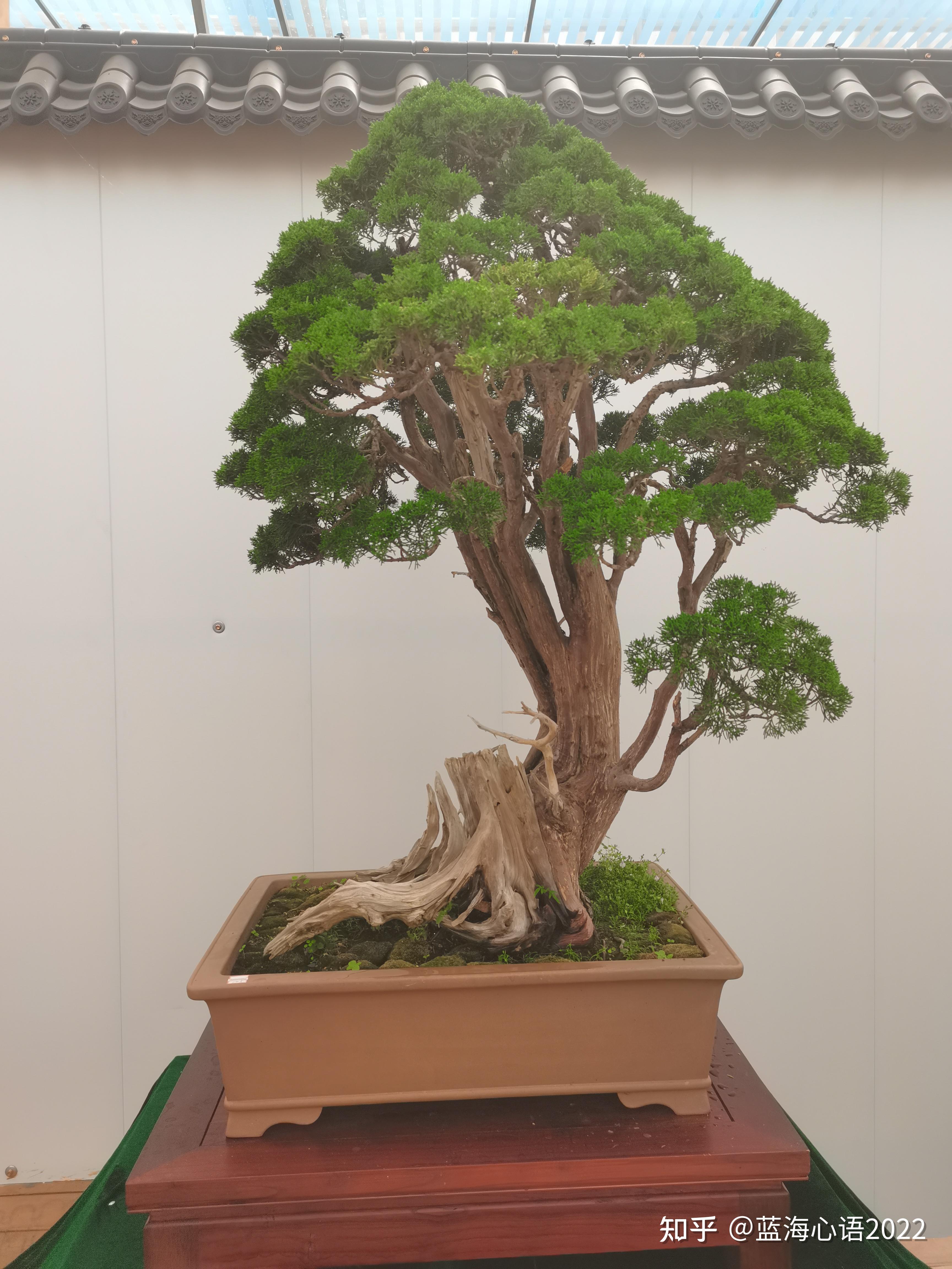 如何“管理”没有生活压力的下属 - 知乎