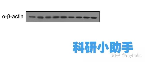 WB图片处理-教你利用Photoshop做出符合杂志要求的WB图片！ - 知乎
