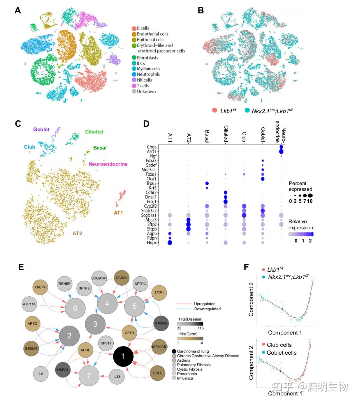 欧易单细胞测序技术助力解析气道goblet cell化生新机制 - 知乎