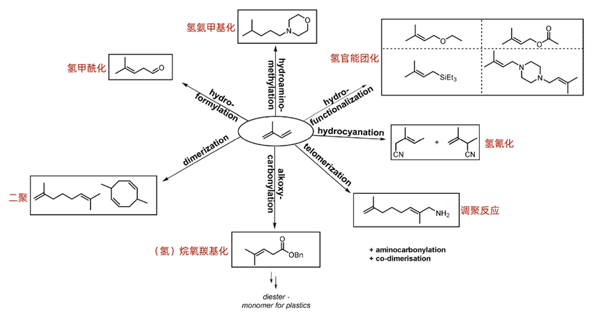 简单了解下1,3-二烯的制备和应用 - 知乎