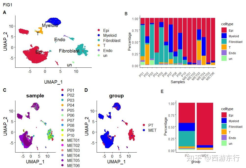 scRNA分析|单细胞文献Fig1中的分组umap图和细胞比例柱形图 - 知乎