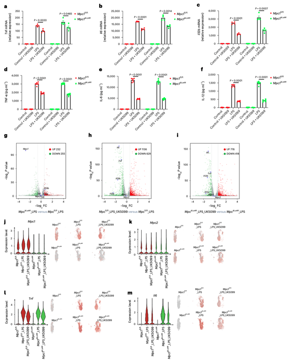 Nature Metabolism丨线粒体丙酮酸载体介导的代谢对于巨噬细胞的经典激活是可有可无的 - 知乎