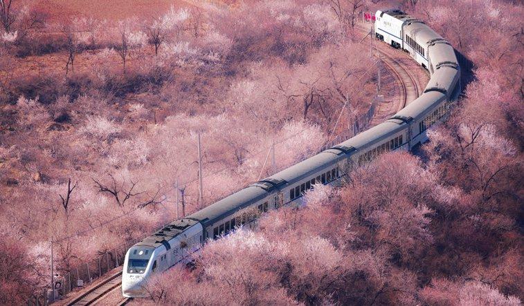 北京市郊铁路S2线春日赏花攻略（观赏期+打卡地） - 知乎