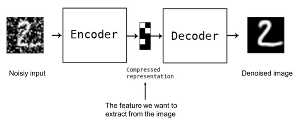 UC Berkeley非监督学习--自监督学习（Self Supervised Learning） - 知乎