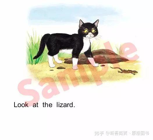 『英文分级阅读』PM Plus 彩虹阅读一套真正适合英语语言学习的分级绘本 - 知乎
