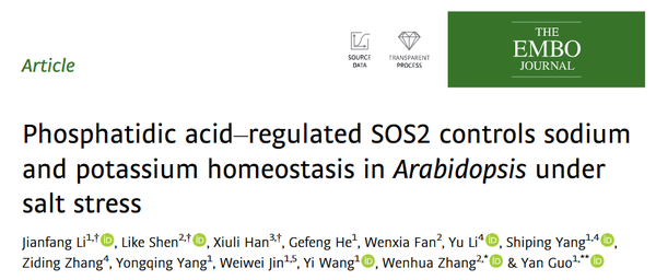 EMBO Journal | 中国农业大学郭岩/南京农业大学章文华课题组合作揭示盐胁迫下磷脂酸调控植物钠钾平衡的机制 - 知乎