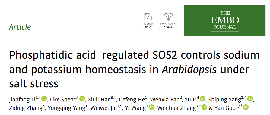 EMBO Journal | 中国农业大学郭岩/南京农业大学章文华课题组合作揭示盐胁迫下磷脂酸调控植物钠钾平衡的机制 - 知乎