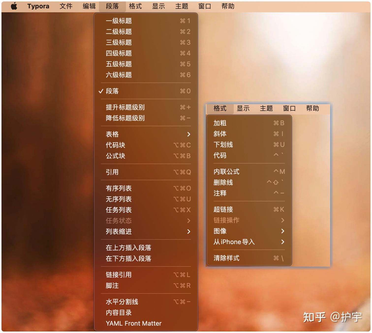 新手必看 | Typora 入门使用教程（2022年） - 知乎