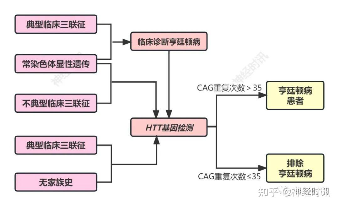 《中国亨廷顿病诊治指南2023》发布！要点整理，一文明晰 - 知乎