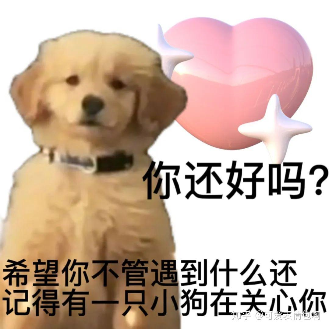 最新抖音最火动图逗比表情包 - 知乎