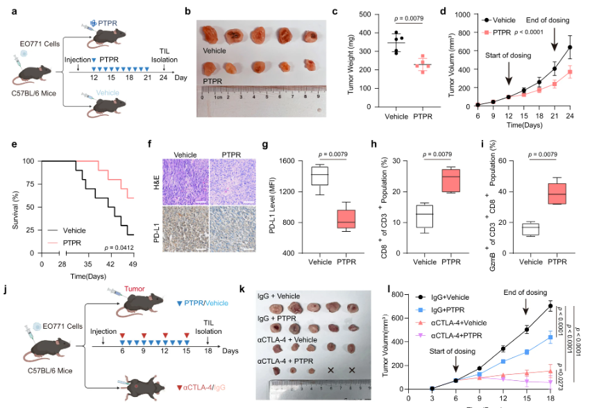 鹰谷靶点 | 动物实验疗效显著，TMUB1可能成为PD-L1通路的潜在免疫治疗新靶点 | Nature子刊 - 知乎