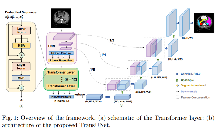 史上最强医学影像分割编码器？TransUnet论文笔记 - 知乎