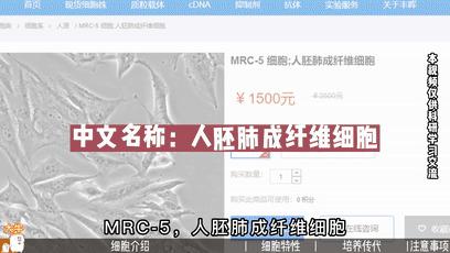MRC-5细胞培养，人胚肺成纤维细胞培养攻略-丰晖生物 - 知乎