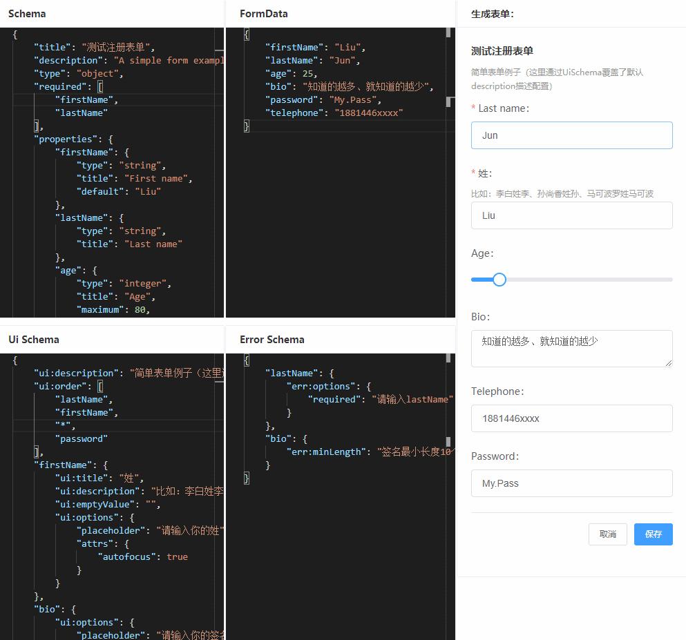 Vue JSON Schema 