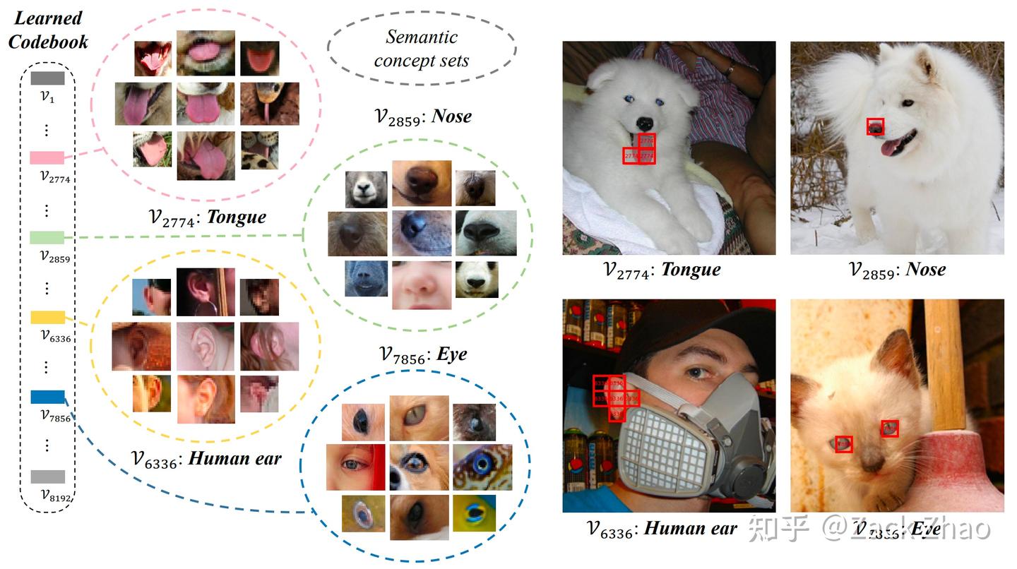 Representation, Tokenizer & Modeling - 知乎