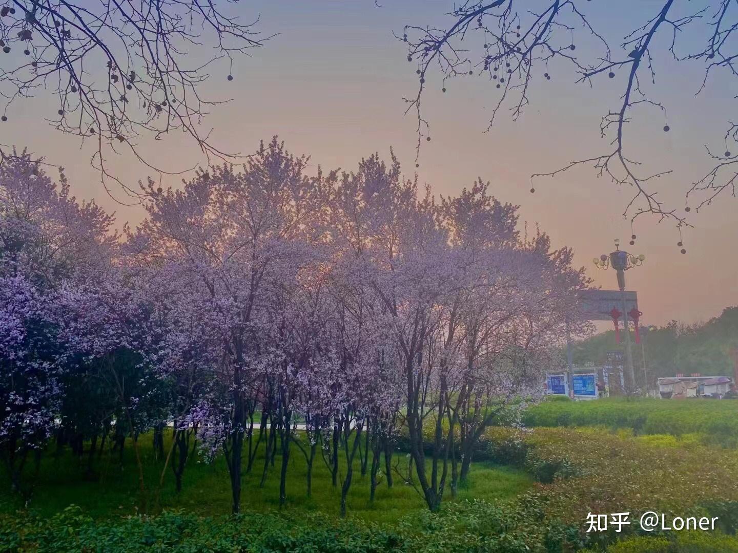 2022的春天 - 知乎