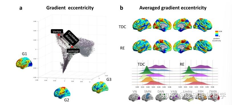 Commun Biol︱南方医科大学张其锐/李娇等发现Rolandic癫痫的非典型脑网络梯度层级发育 - 知乎