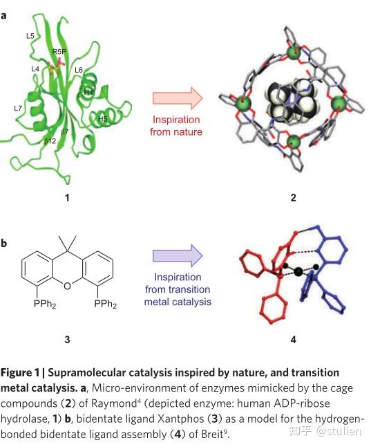 超分子催化 Supramolecular catalysis（一） - 知乎