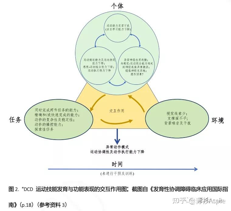 与发育性协调障碍（DCD）共同生活——成年DCD人士生活指南(一) - 知乎
