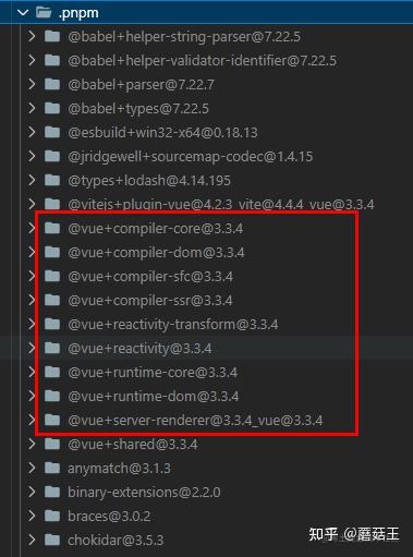 【从 0 到 1 搭建 Vue 组件库框架】2 在 Monorepo 模式下集成 Vite 和 Typescript 上 知乎 