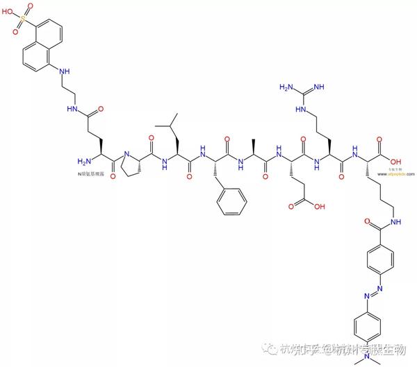 FRET多肽的介绍及相关文献 - 知乎