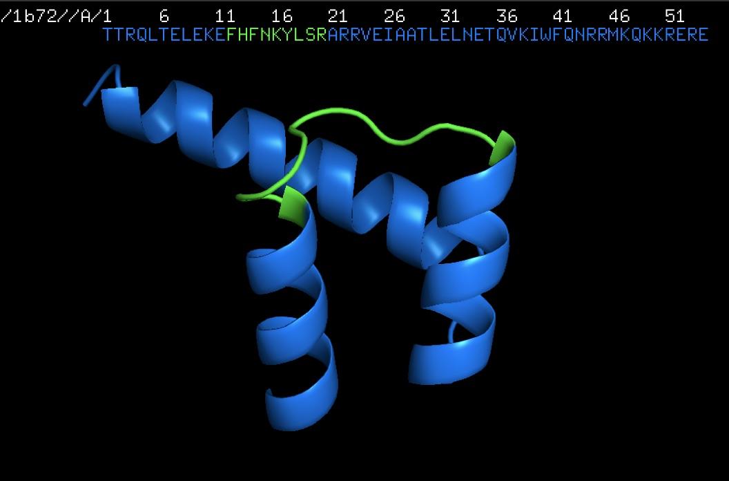 Rosetta NGK: 蛋白Loop构象预测 - 知乎