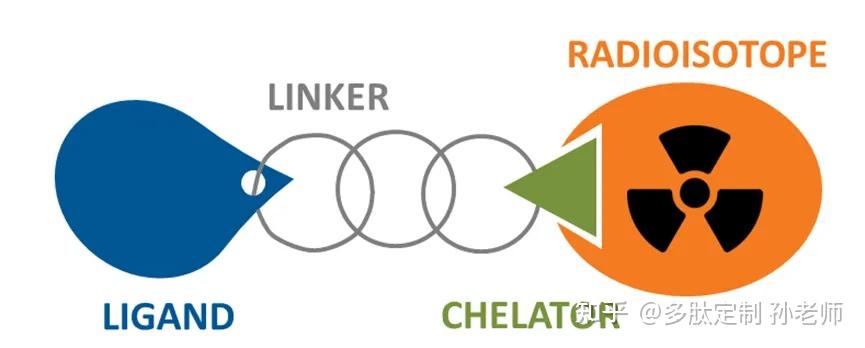 核素偶连药物（RDC）现状和发展趋势 - 知乎