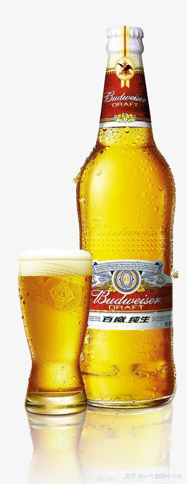 解析夜场的啤酒-常见品牌以及价格（一） - 知乎