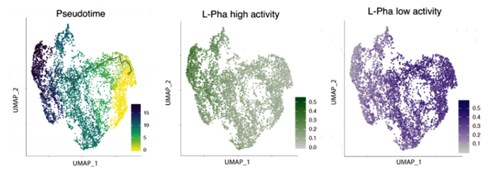 热点联动 | 单细胞测序+糖基化修饰会发生什么化学反应？ - 知乎