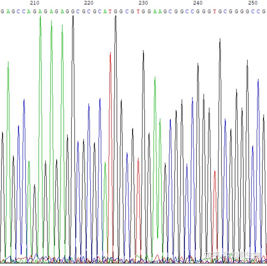 16S rRNA测序鉴定分析实验 - 知乎