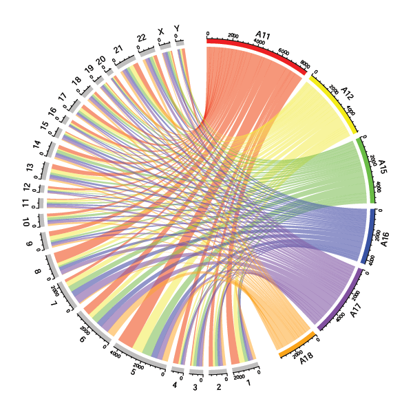 用R包（circlize）画circos图 - 知乎