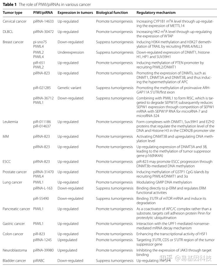 易基因：PIWI/piRNA在人癌症中的表观遗传调控机制（DNA甲基化+m6A+组蛋白修饰）｜综述 - 知乎