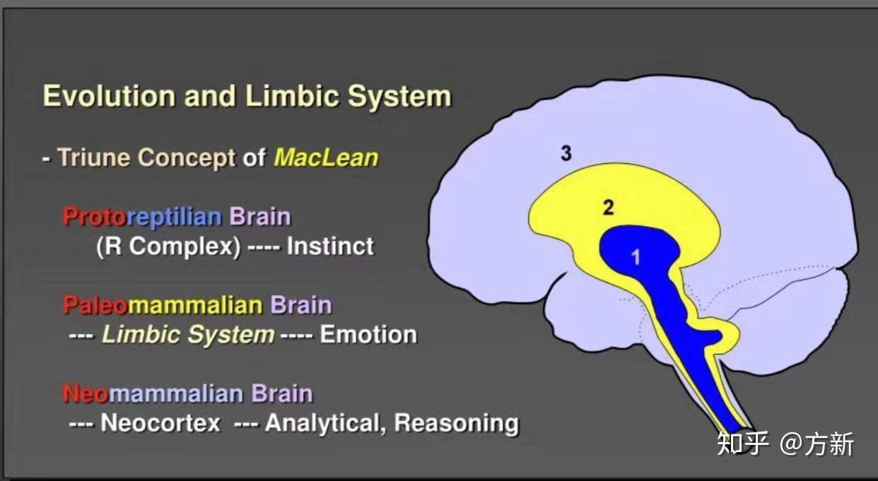 完整版来了——危机管理中的SAFER-R模型 - 知乎