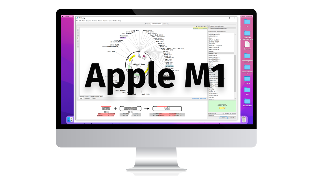 SnapGene V6.1更新啦！ - 知乎