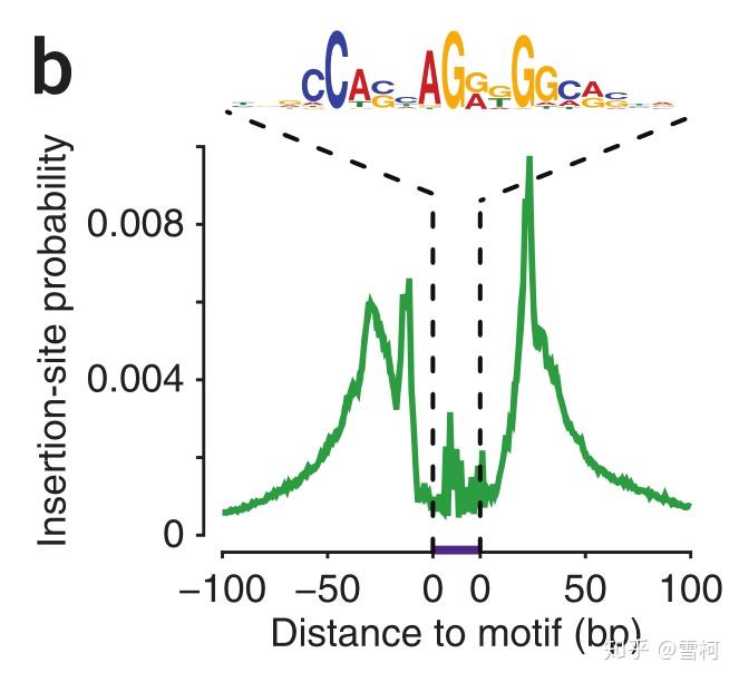 精读ATAC开山之作：表观遗传之光 - 知乎