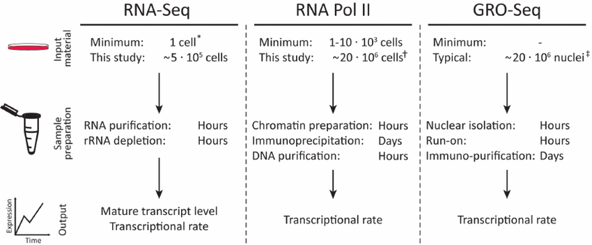 [测序原理] GRO-seq：从建库到放弃 - 知乎