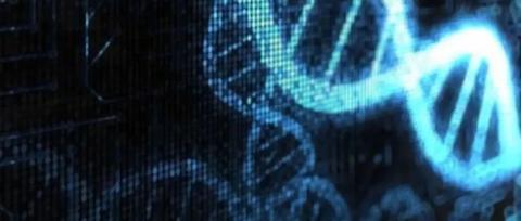 R代码合并TCGA数据库中DNA甲基化数据 - 知乎