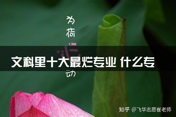 文科里十大最烂专业？什么专业不建议学 知乎
