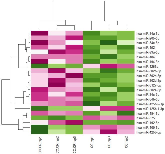 【R语言】热图绘制-heatmap+RColorBrewer配色方案 - 知乎